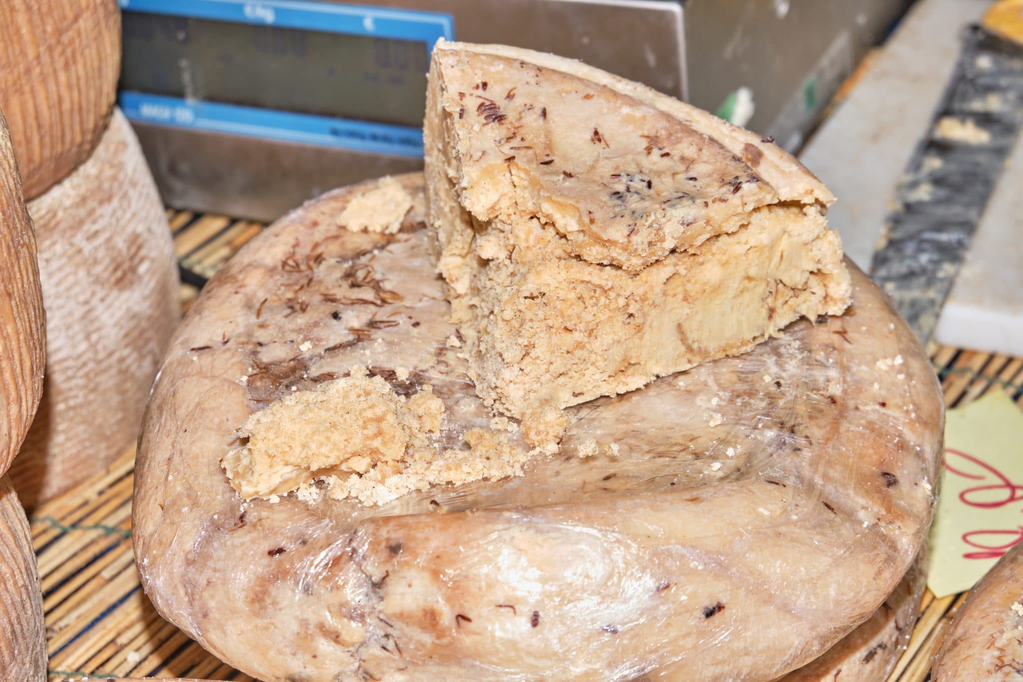 Casu Marzu: Das ist der gefährlichste und ekligste Käse der Welt
