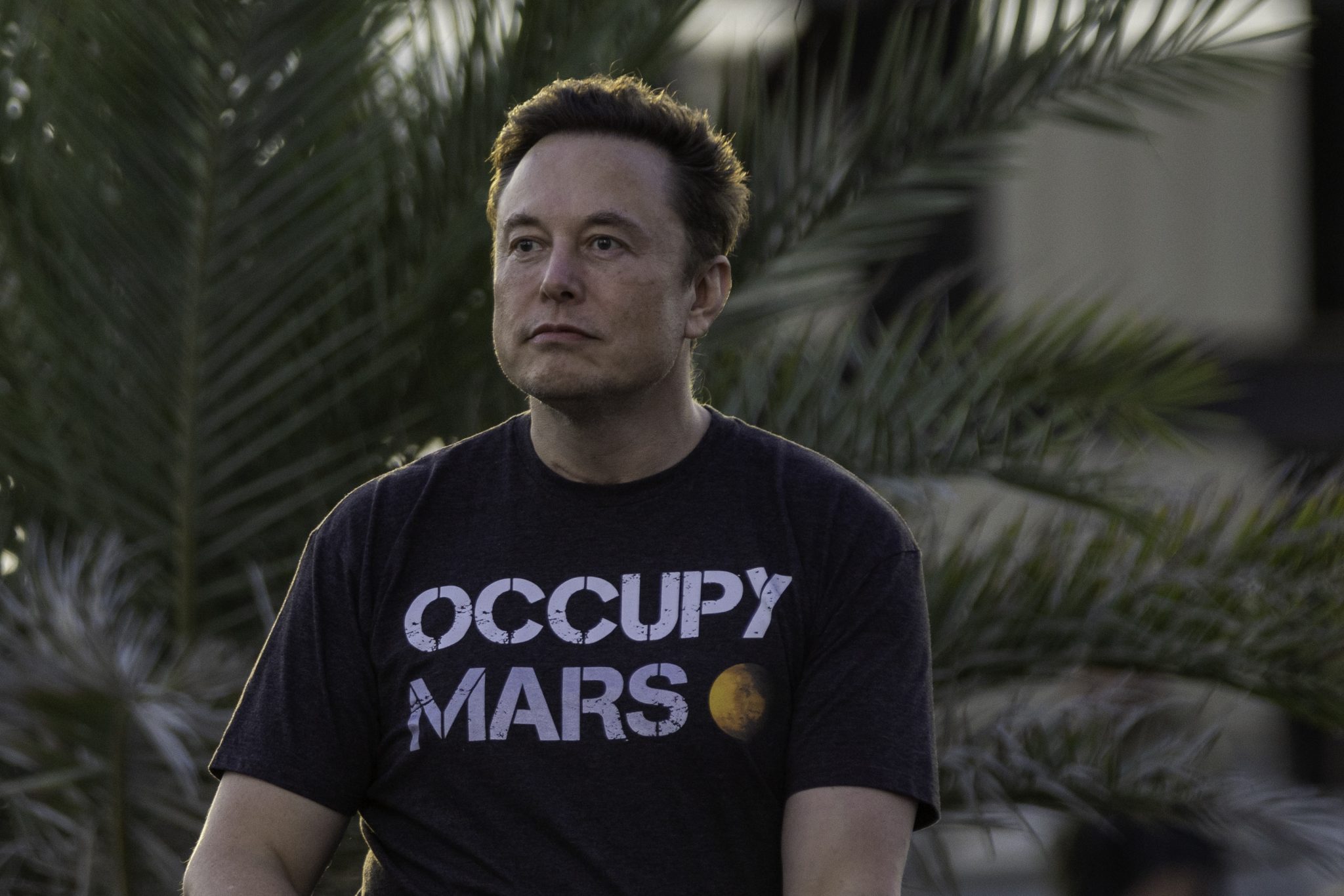 Elon Musk feuert über 3.000 Twitter-Mitarbeiter Elon Musk feuert über 3.000 Twitter-Mitarbeiter